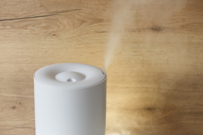 How to Clean and Take Care of Your Home’s Humidifier - Expert Home Report